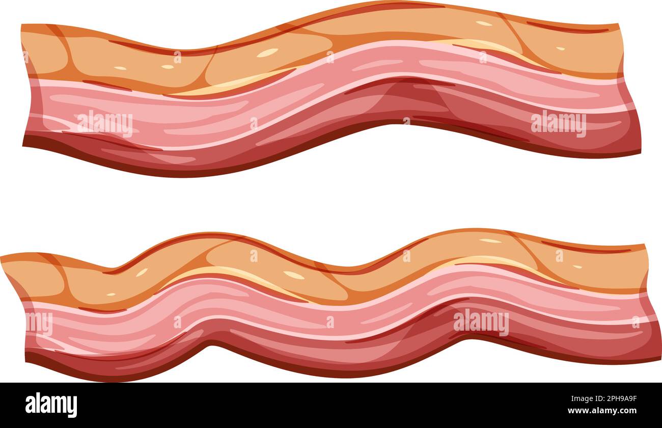 Fresh raw bacon isolated illustration Stock Vector Image & Art - Alamy