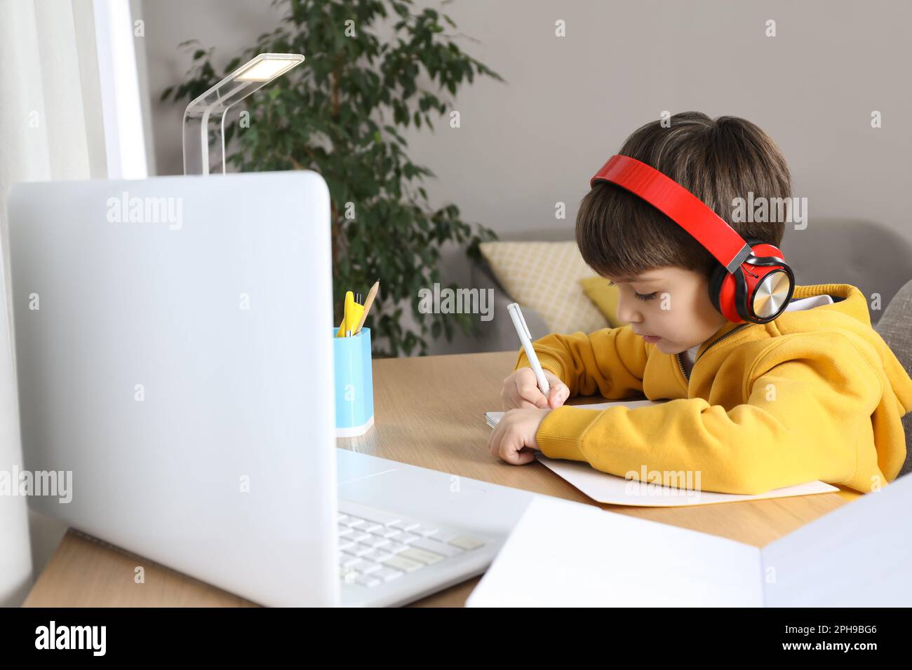 Cute little boy with modern laptop studying online at home. E-learning ...