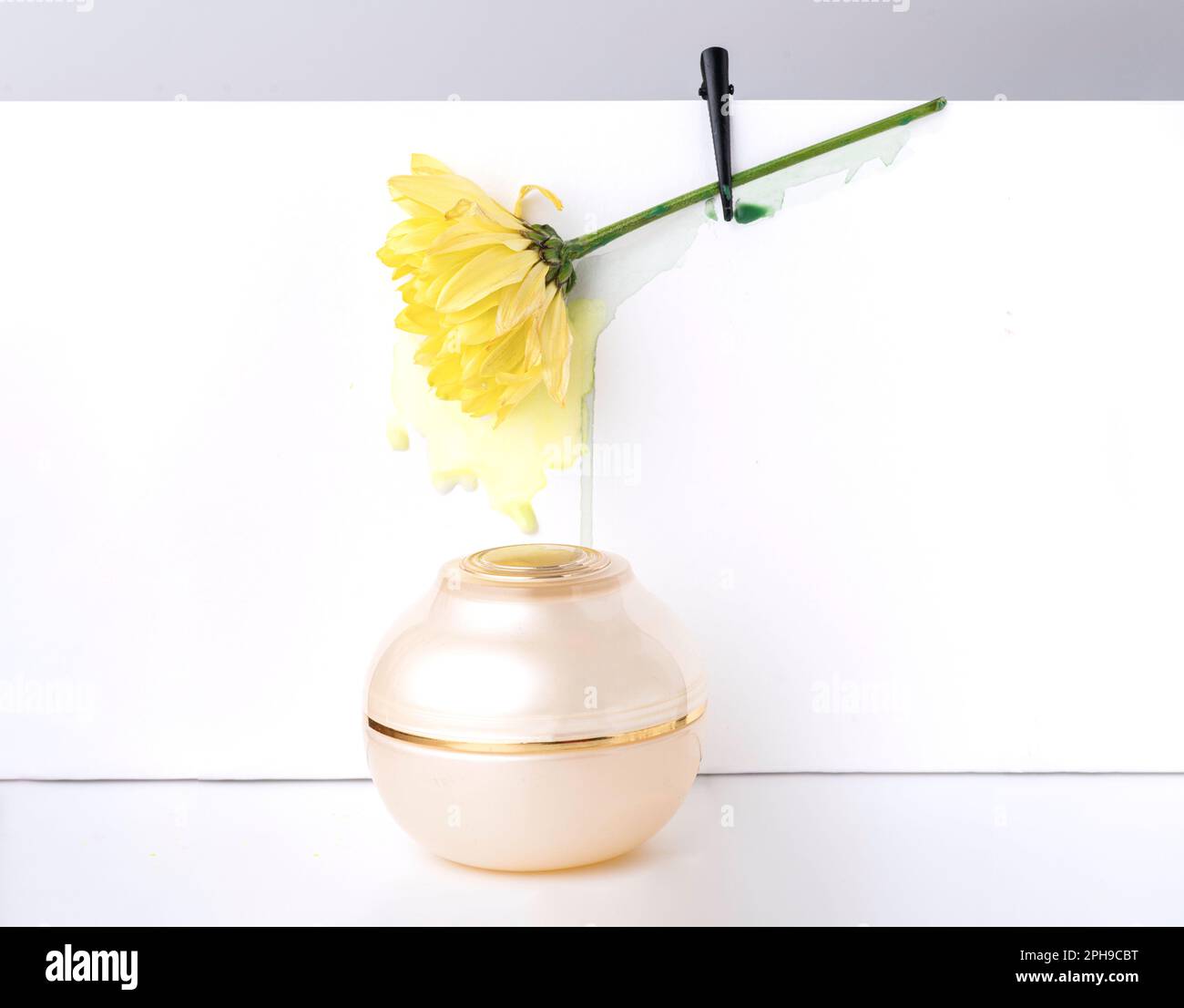 cream with floral extracts for skin care. Face and body care spa ...