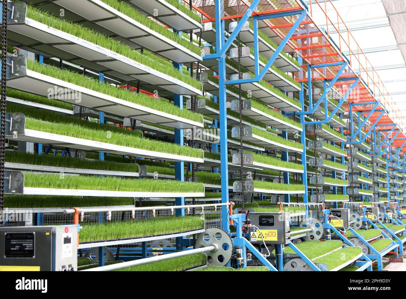 CHONGQING, CHINA - MARCH 27, 2023 - A large intelligent rice seedling ...