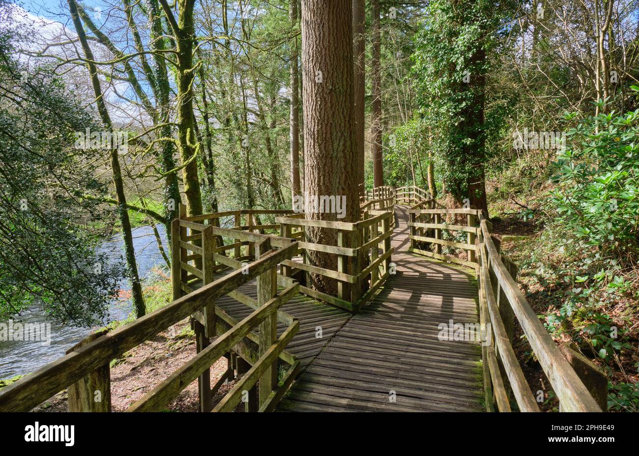 Boardwalk beside the River Llugwy in Betws-y-Coed, Conwy, Snowdonia ...