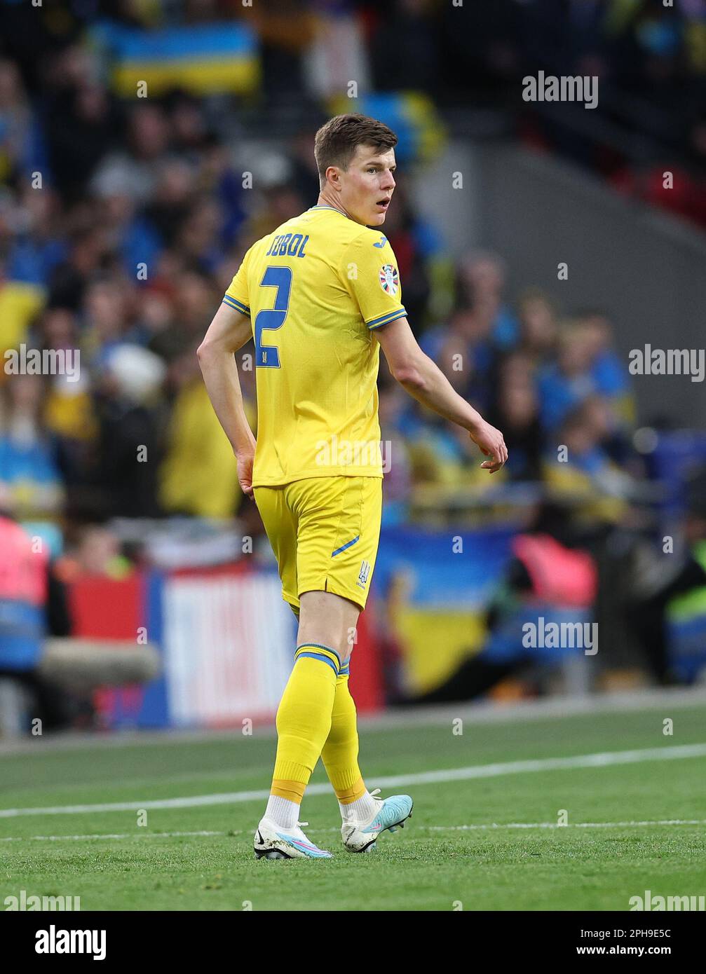 Sobol hi-res stock photography and images - Alamy