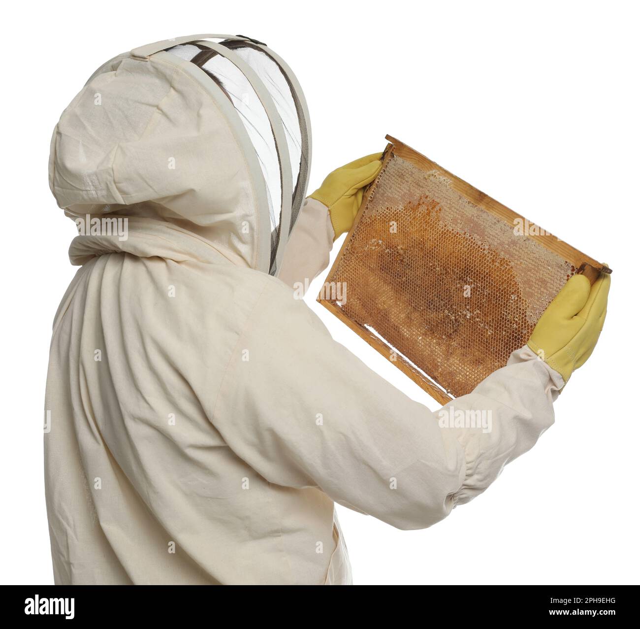 Beekeeper in uniform holding hive frame with honeycomb on white ...