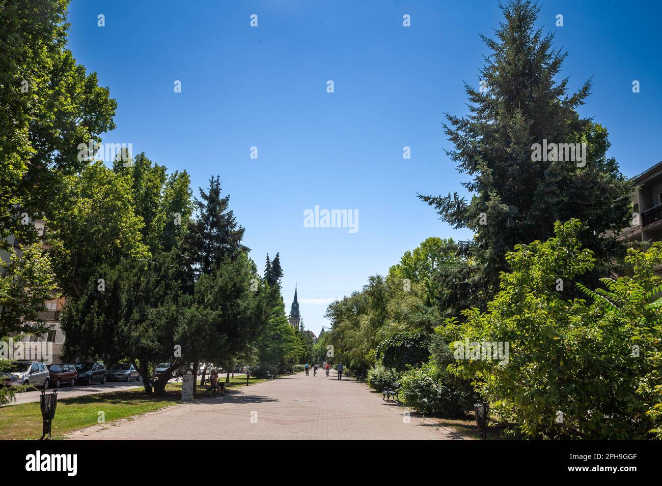 Picture of the Aleja marsala tita, the marshall tito alley of Subotica ...