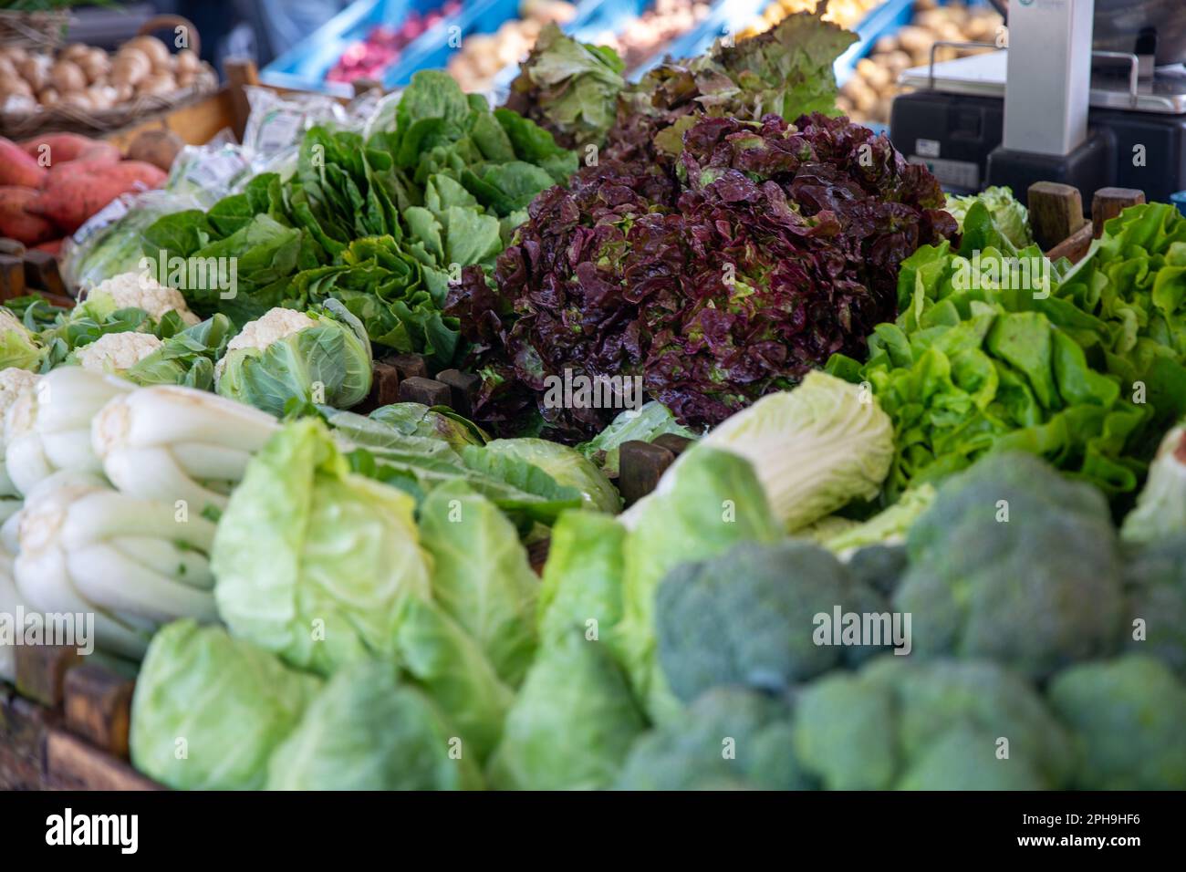 Rows of Fresh Market Vegetables Stock Photo - Alamy