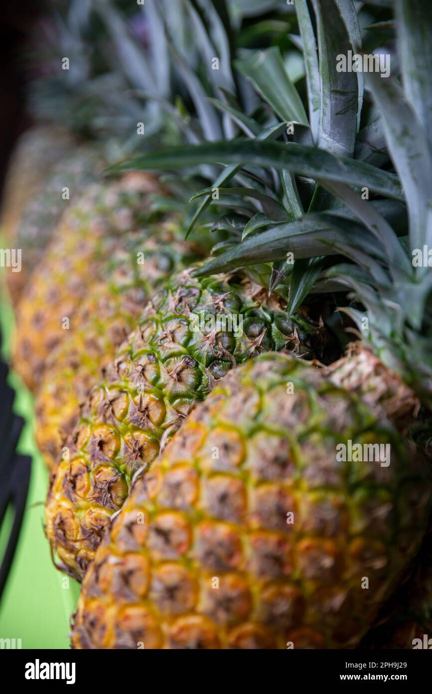 Pineapple shot close up showing details Stock Photo - Alamy