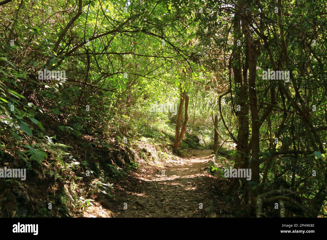Paithal mala hi-res stock photography and images - Alamy
