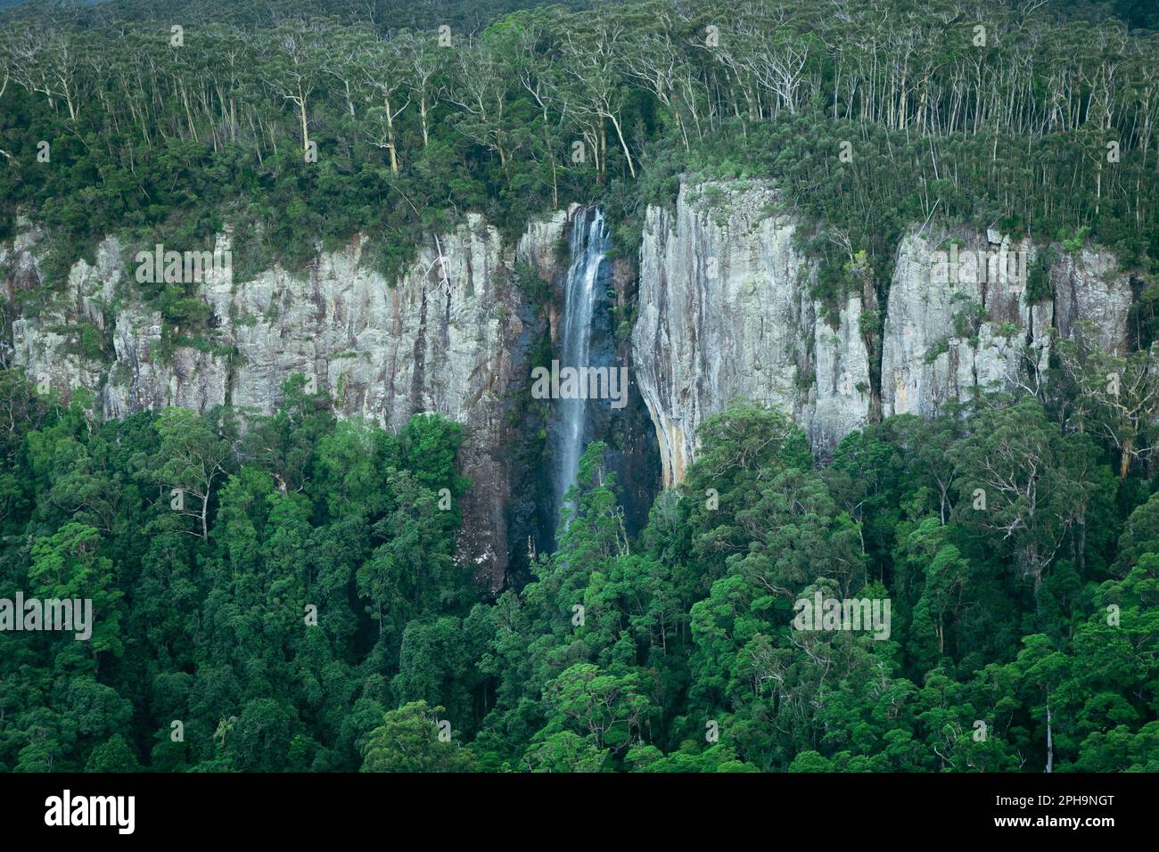 Rainbow Falls, Springbrook National Park. Seen from the Canyon Lookout ...