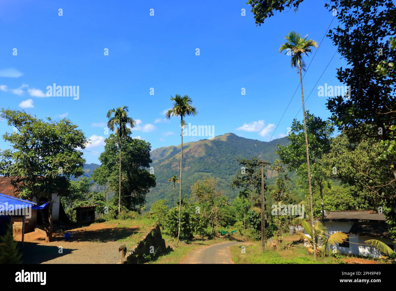 Paithal mala hi-res stock photography and images - Alamy