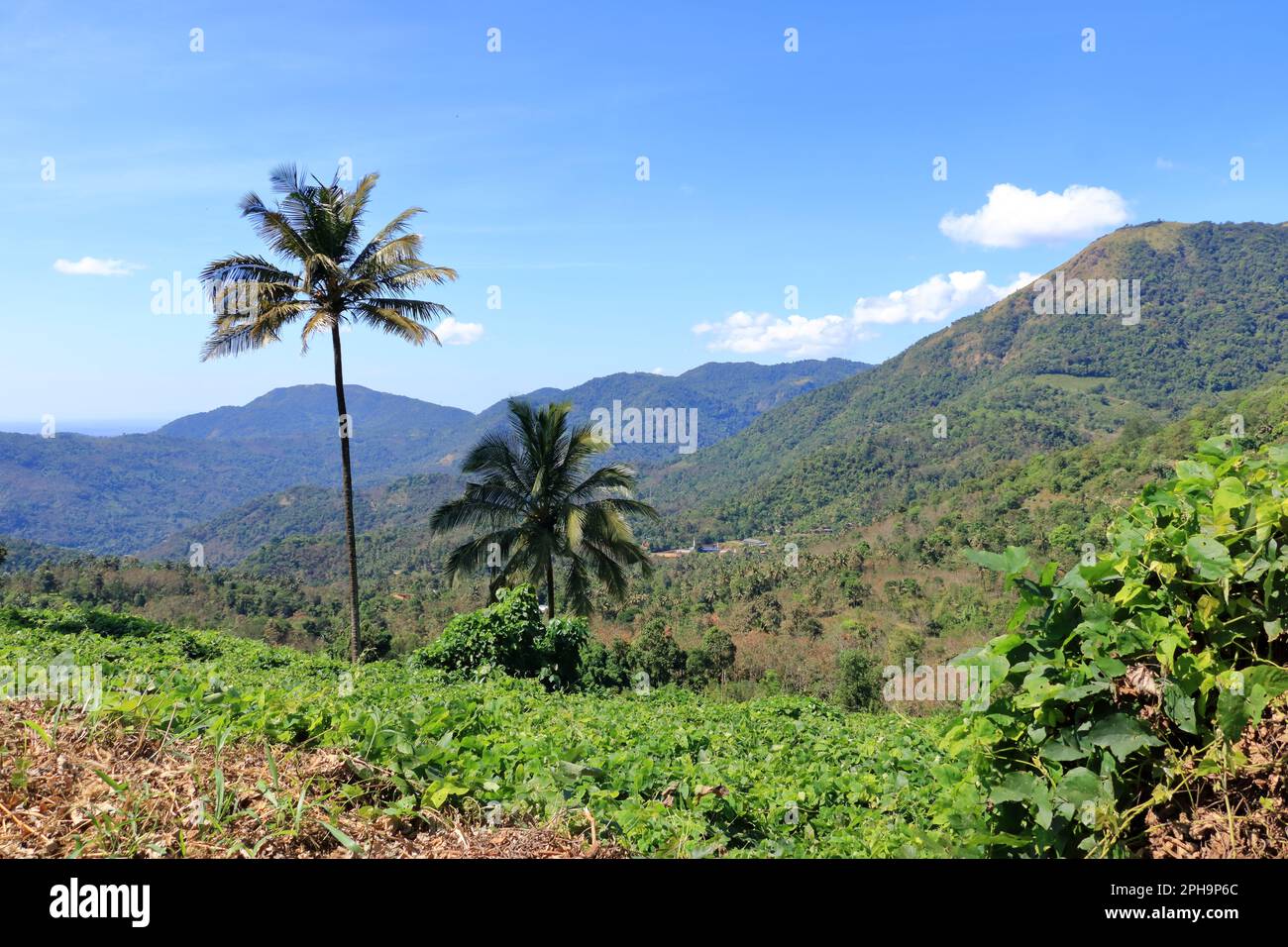 the Amazing view to the southern tip of the mighty western ghats ...