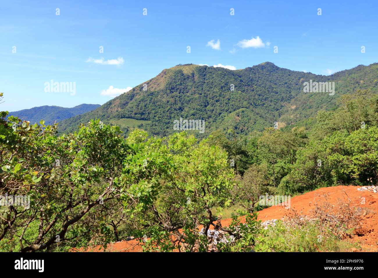 Paithal mala hi-res stock photography and images - Alamy