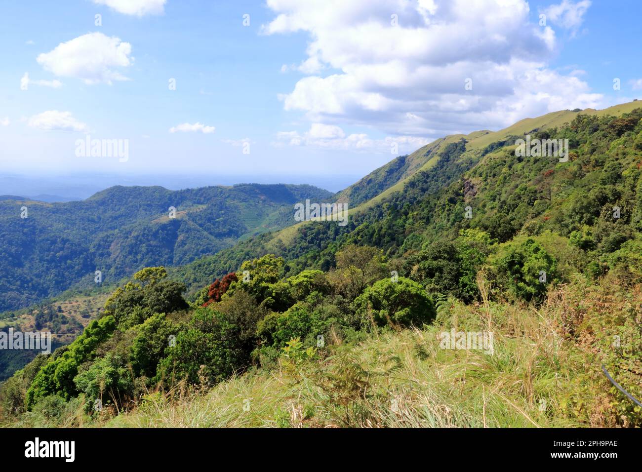 the view of the southern tip of the mighty western ghats. Paithalmala ...
