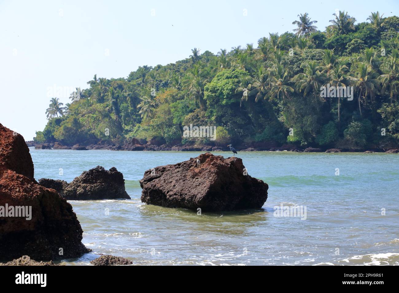 Dharmadam island and beach in Kannur, Kerala in India Stock Photo - Alamy