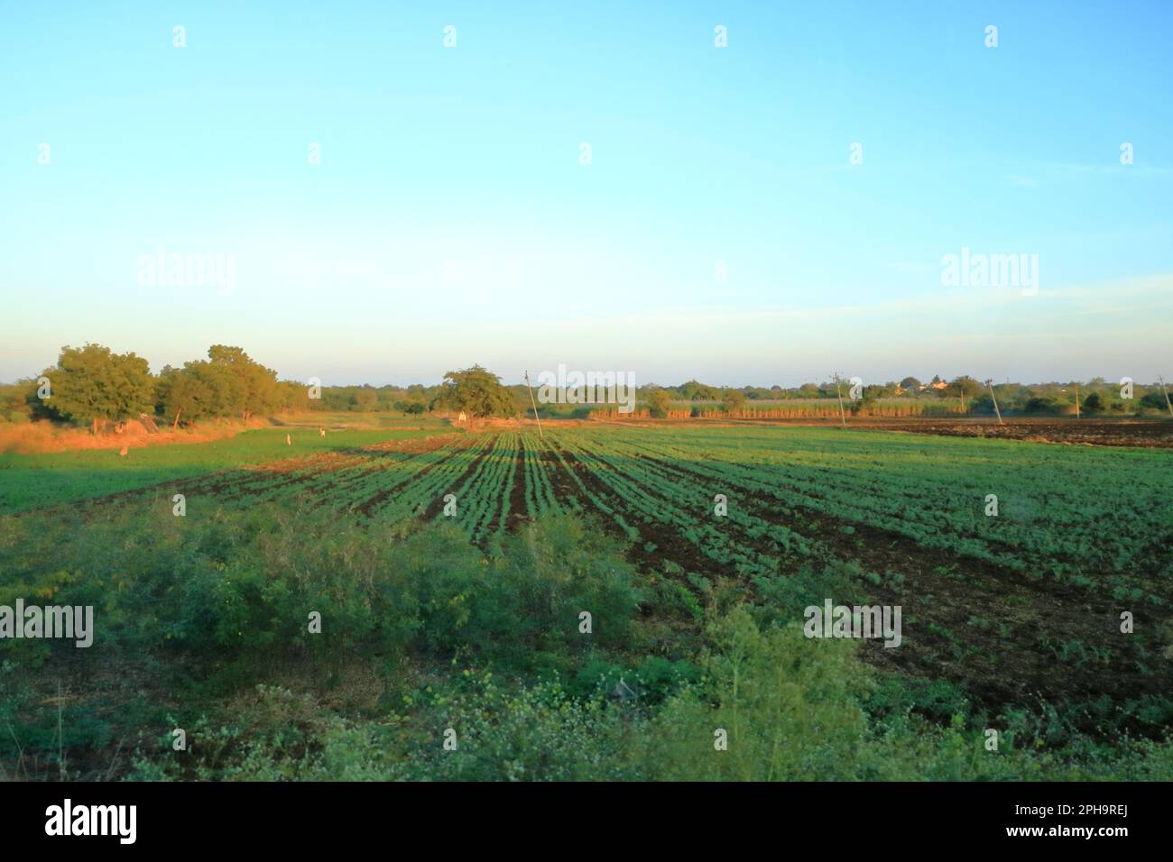 a beautiful landscape with field in south India Stock Photo - Alamy