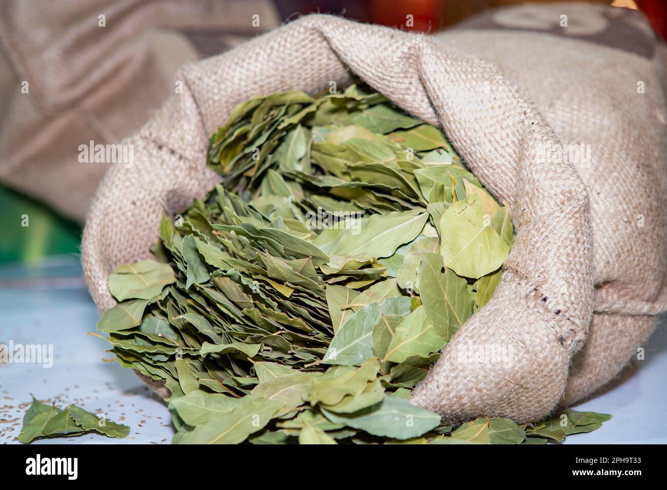 bag filled with laurel leaves Stock Photo - Alamy