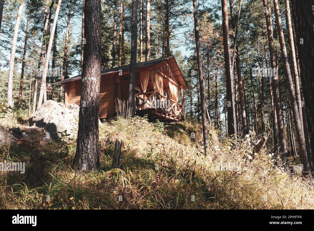 Pathway to a wooden holiday home on a mountain in a pine forest with a ...