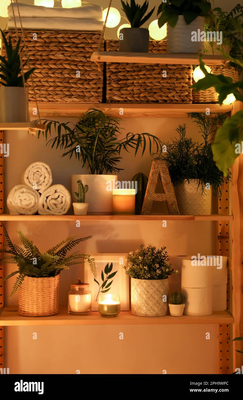 Green shelving hi-res stock photography and images - Alamy
