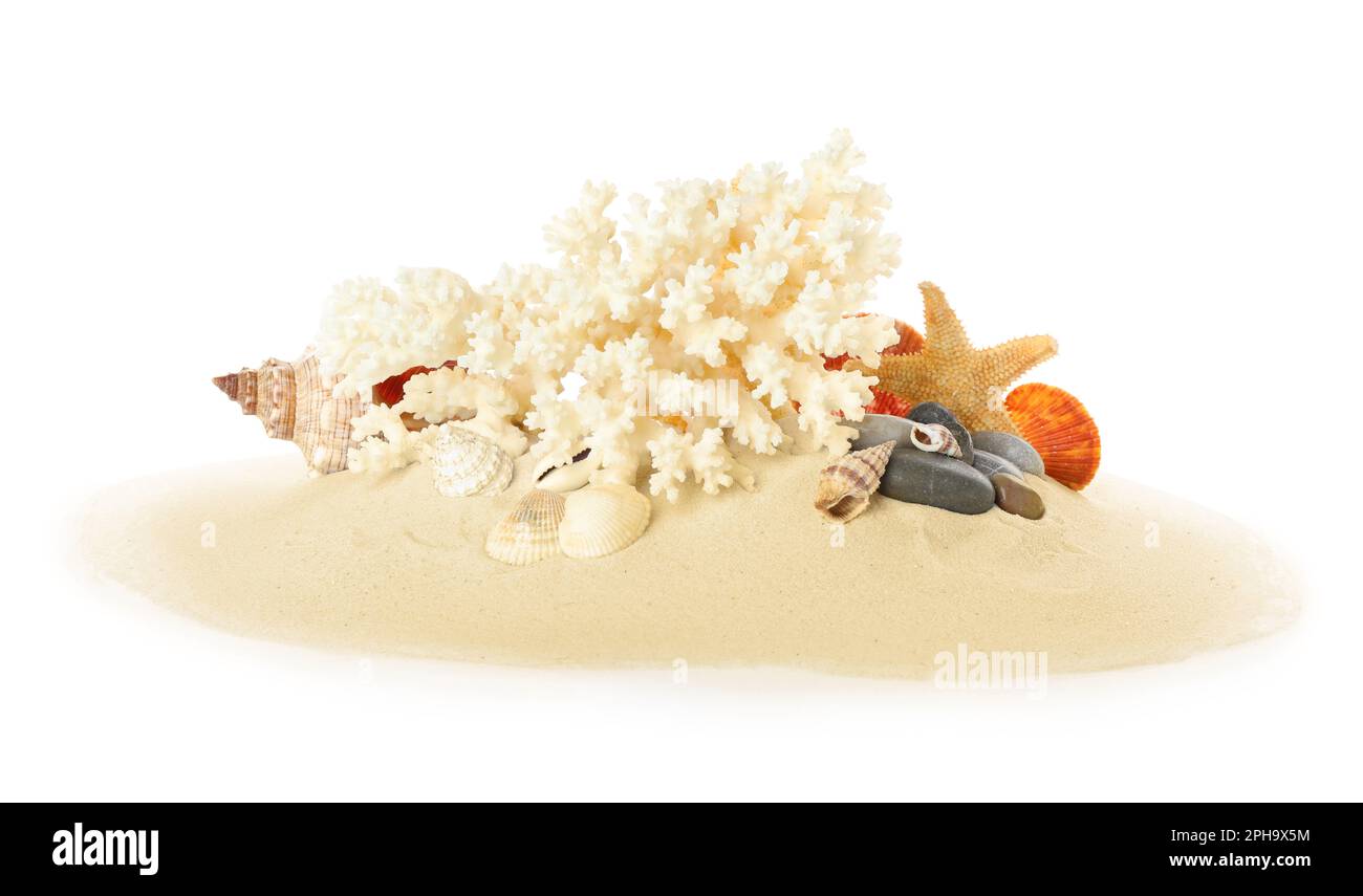 Beautiful exotic sea coral, shells and sand on white background Stock ...