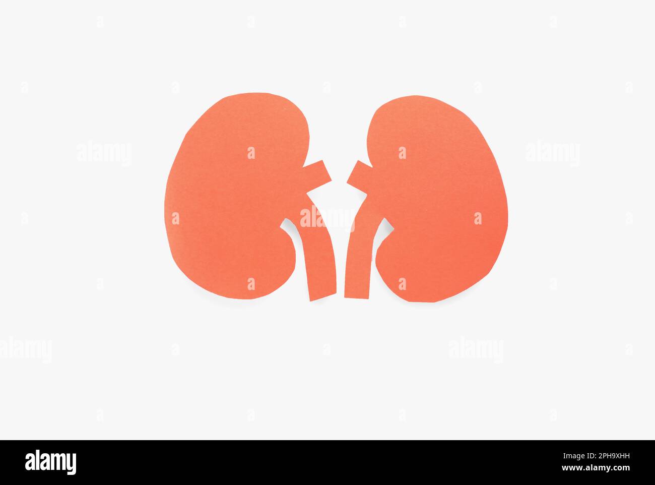 Renal patient view Cut Out Stock Images & Pictures - Alamy