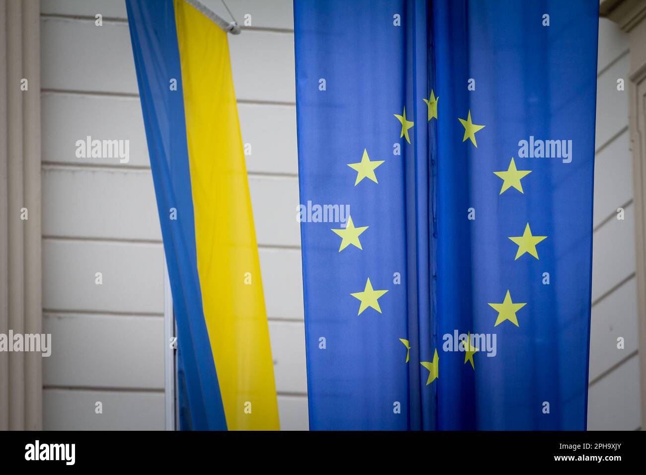 Picture of the flags of the EU and Ukraine raised together in streets ...