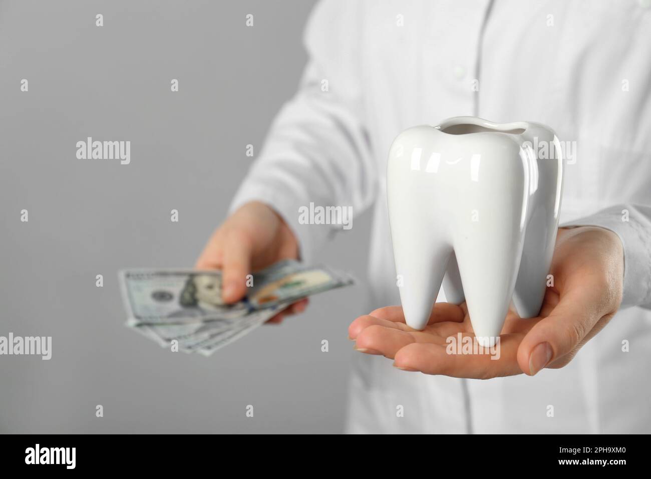 Dentist holding ceramic model of tooth and dollar banknotes on grey ...