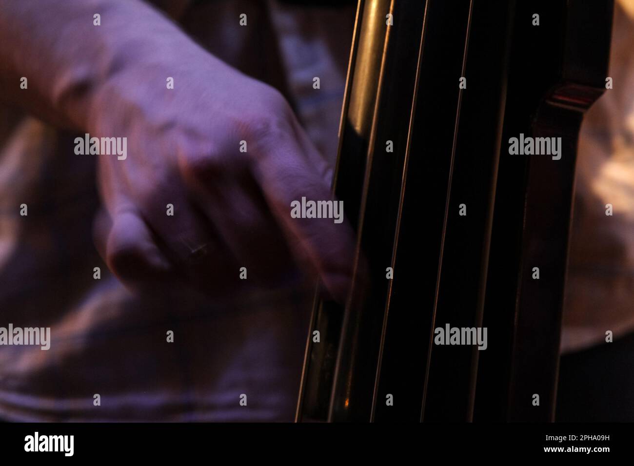 Picture of the hands of a musician playing on a contrabass in pizzicato ...