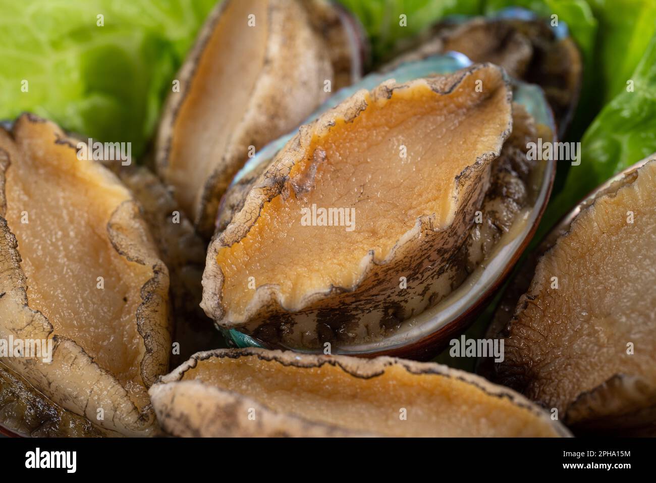 Abalone of the plate hi-res stock photography and images - Alamy