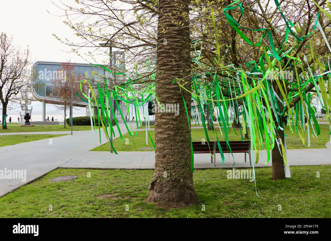Trees decorated for the Tree Festival on the anniversary of King ...