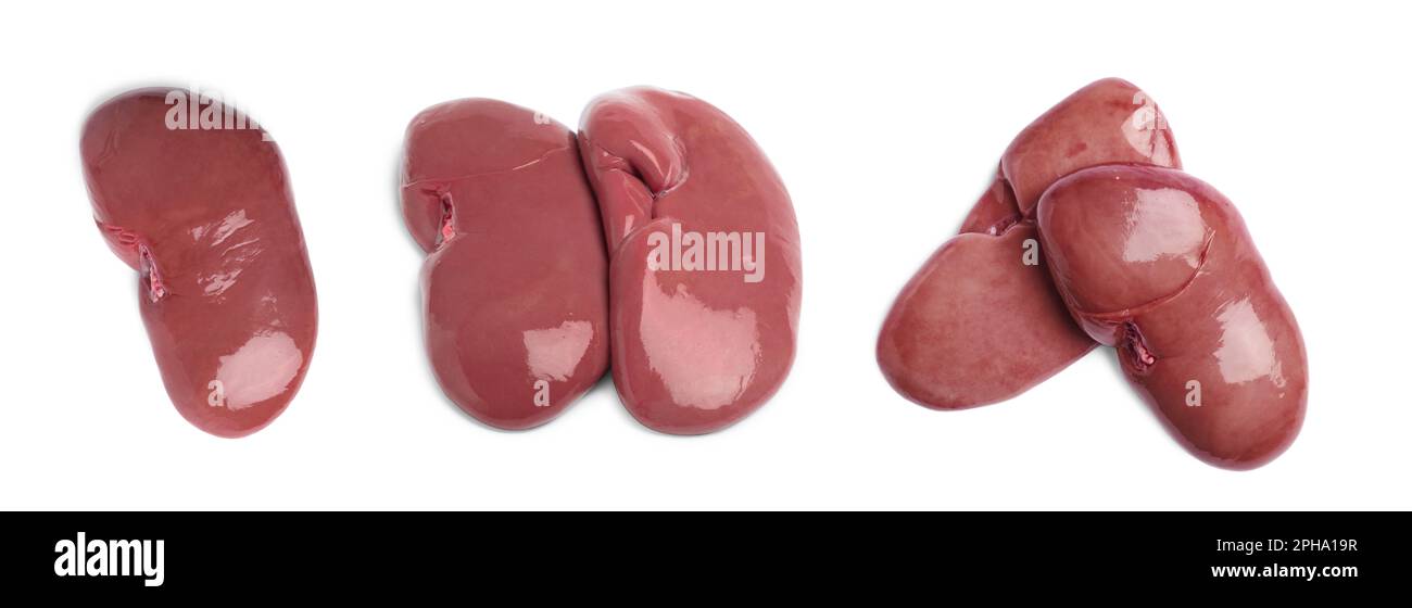 Set with fresh raw kidneys on white background, top view. Banner design ...