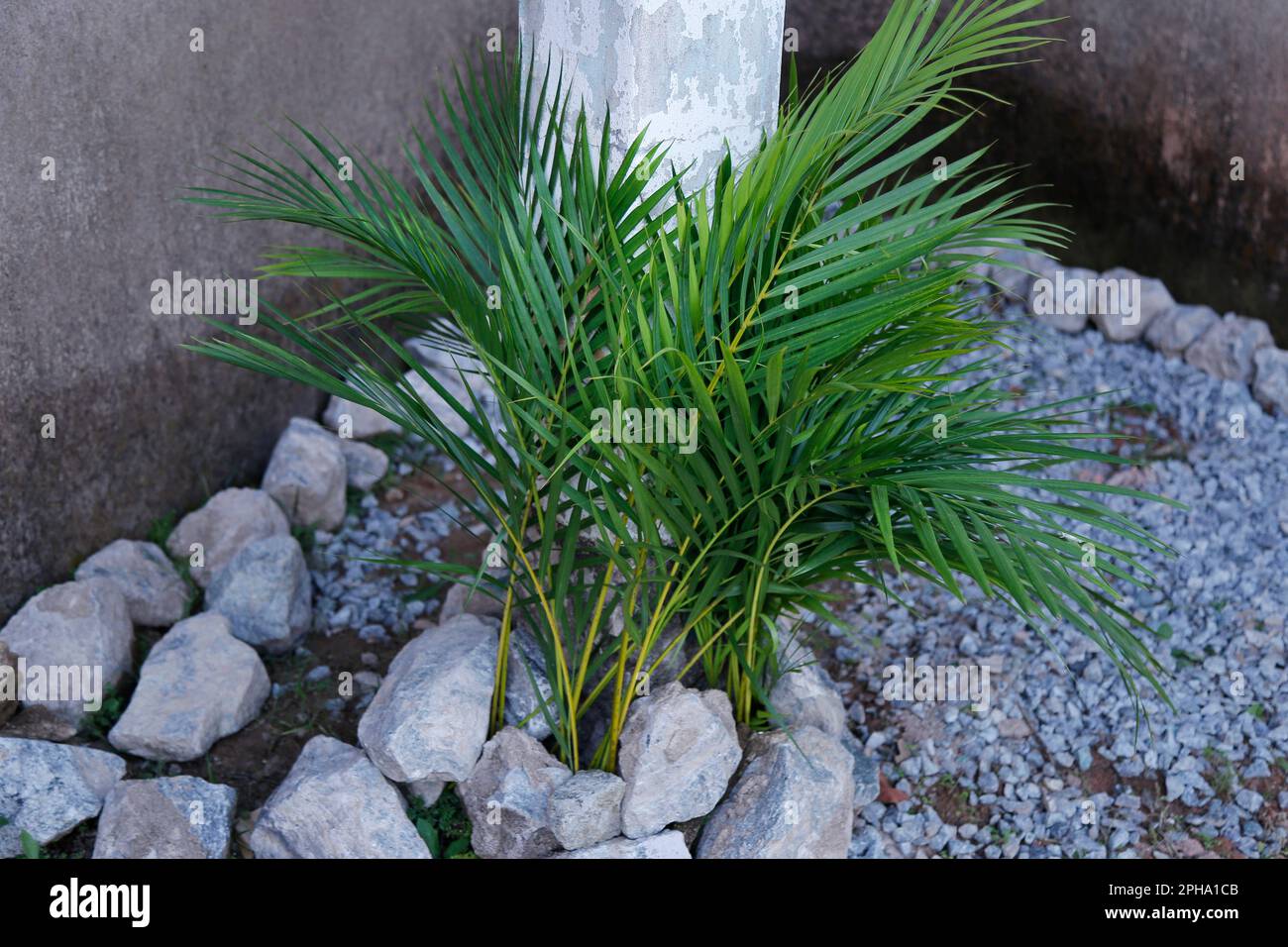 Holy Week. Twigs of branches with stones. Traditional Catholic ...