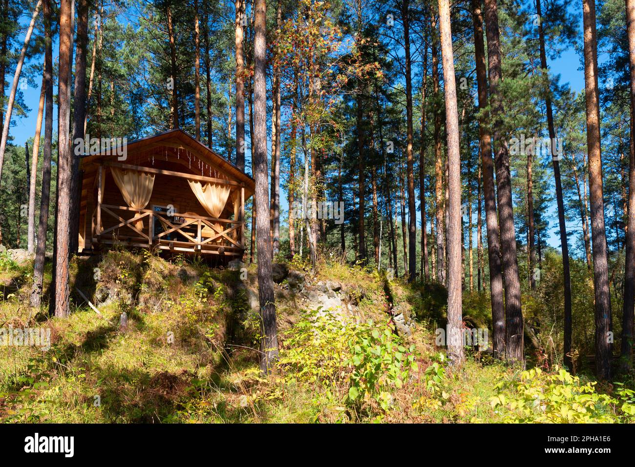 Wooden holiday home on a mountain in a pine forest with a veranda with ...