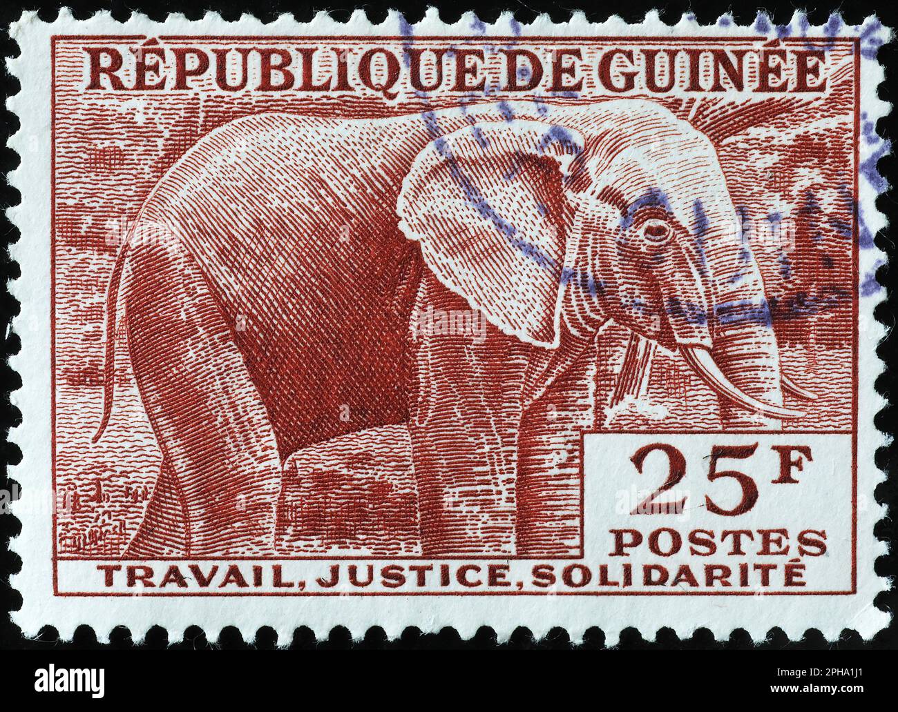African elephant on vintage stamp of Guinea Stock Photo - Alamy