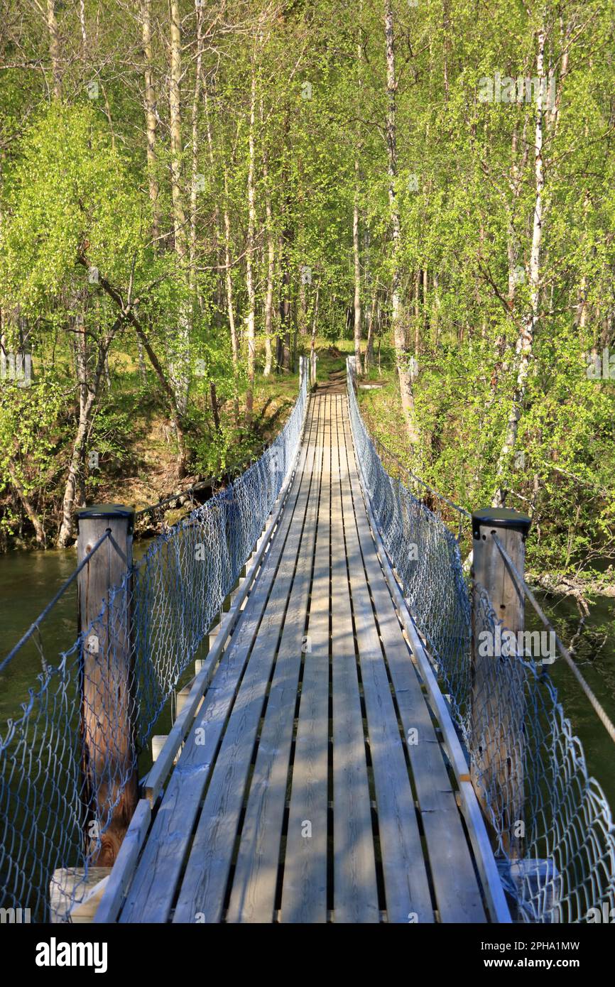 small suspension footbridge over small river in norway Stock Photo - Alamy