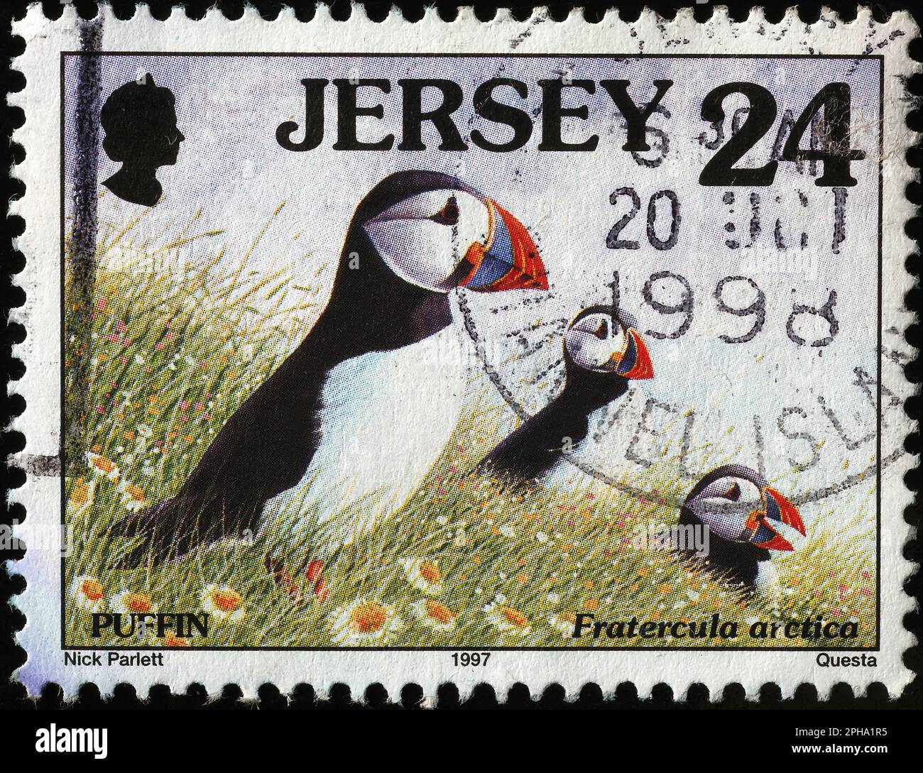 Atlantic puffins on postage stamp of Jersey Stock Photo - Alamy