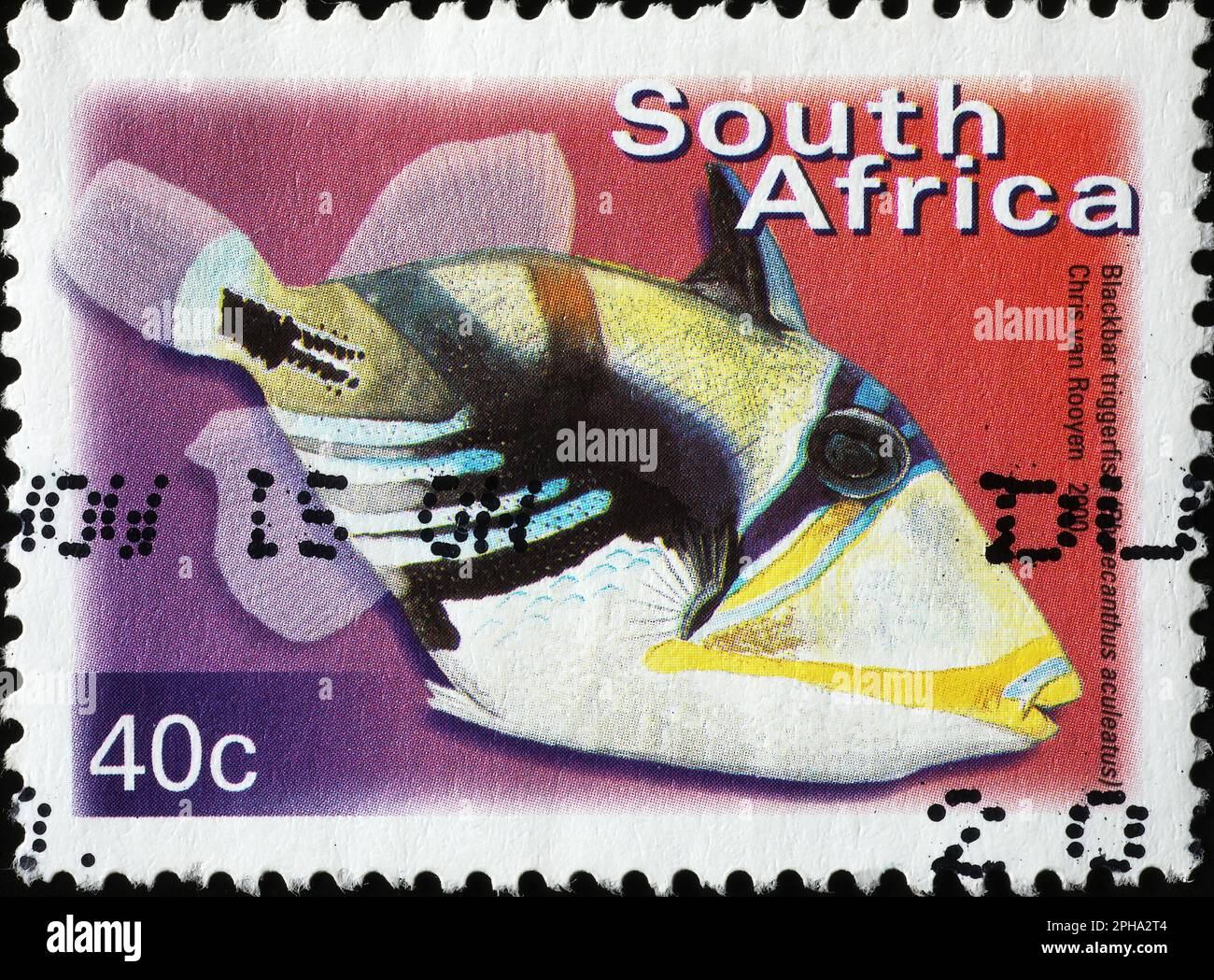 Blackbar triggerfish on south african postage stamp Stock Photo - Alamy