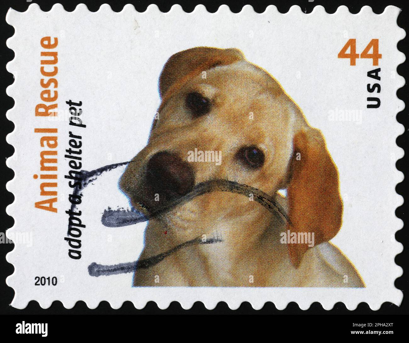 Campaign to adopt a shelter pet on american postage stamp Stock Photo ...