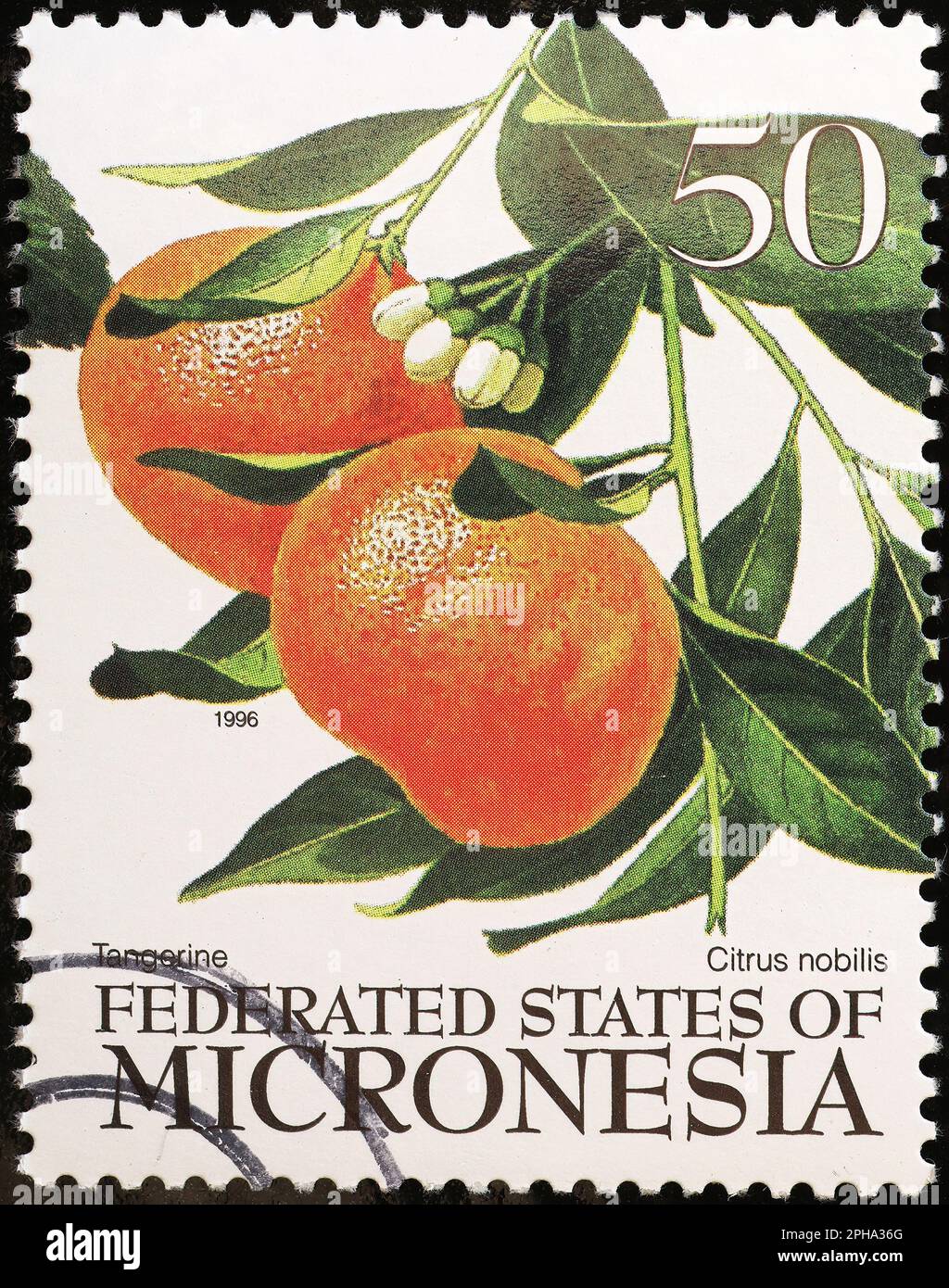 Close up of tangerines on postage stamp of Micronesia Stock Photo - Alamy
