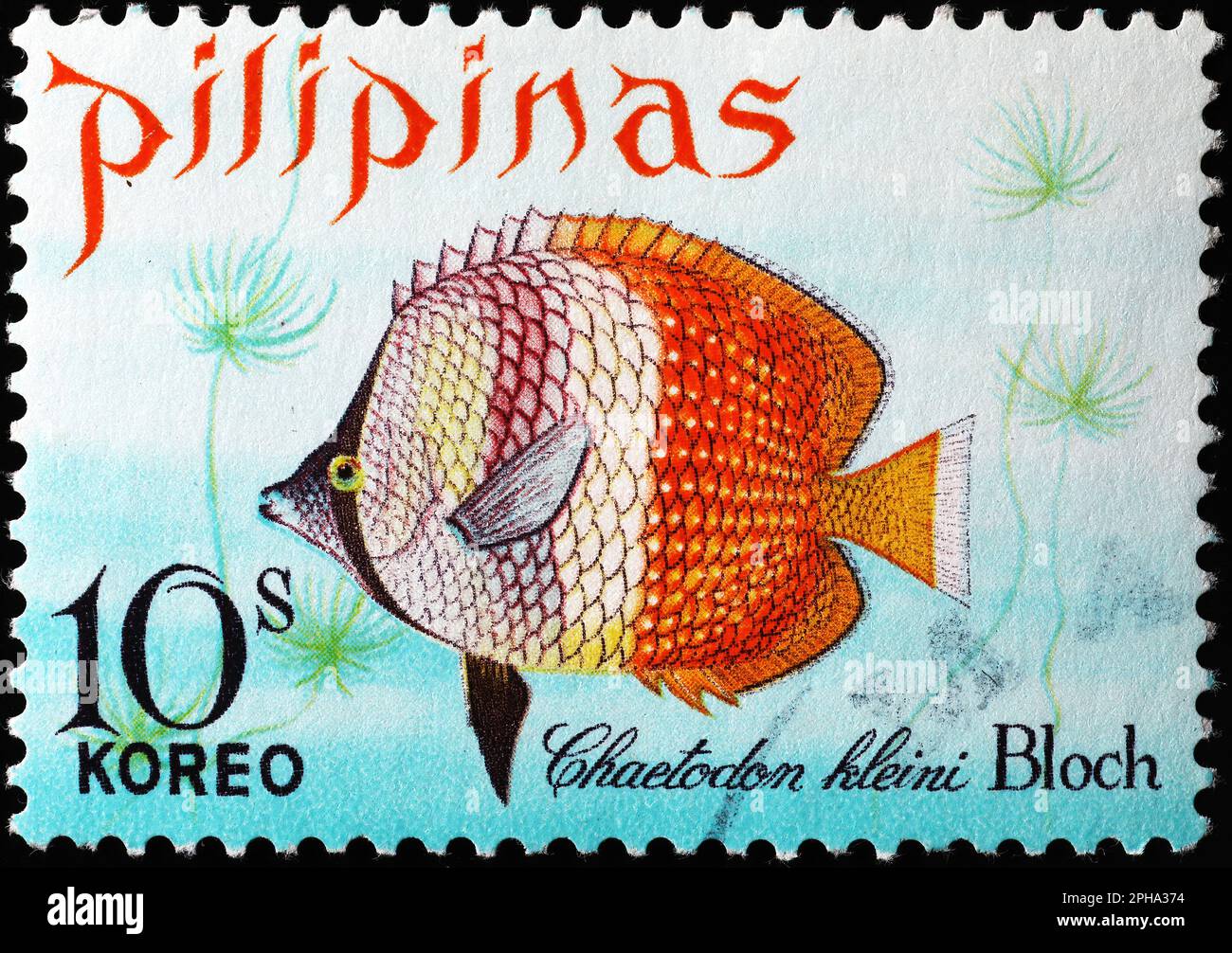 Colorful tropical fish on postage stamp of Philippines Stock Photo - Alamy