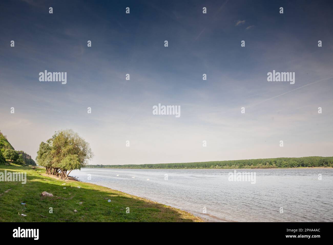 Panorama of the Danube river in Serbia with trees during a sunny summer ...