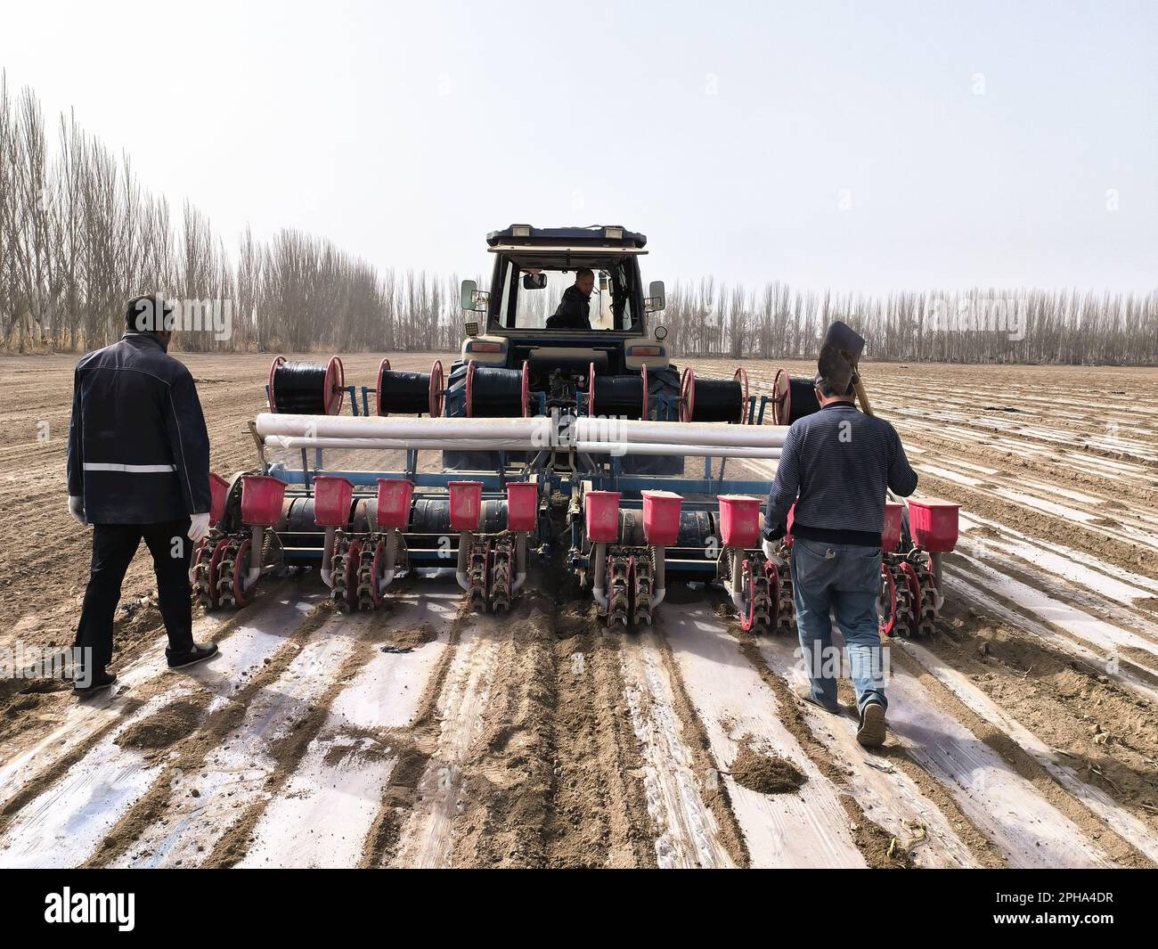 AKSU, CHINA - MARCH 26, 2023 - Cotton farmers sow cotton in Qiongkul ...