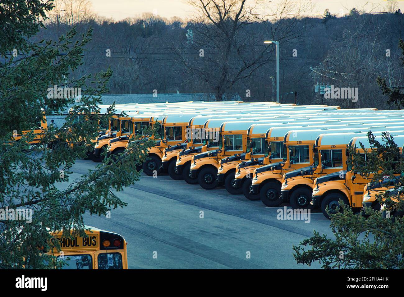 A fleet of yellow school buses are arranged in neat rows in an open lot ...