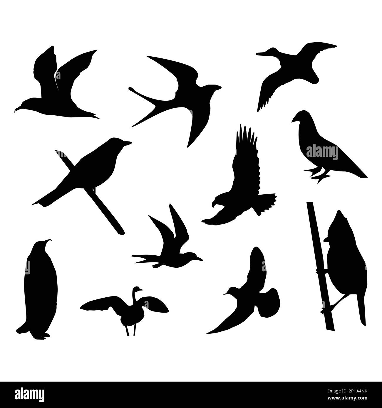 illustration Birds silhouette vector design Stock Vector Image & Art ...