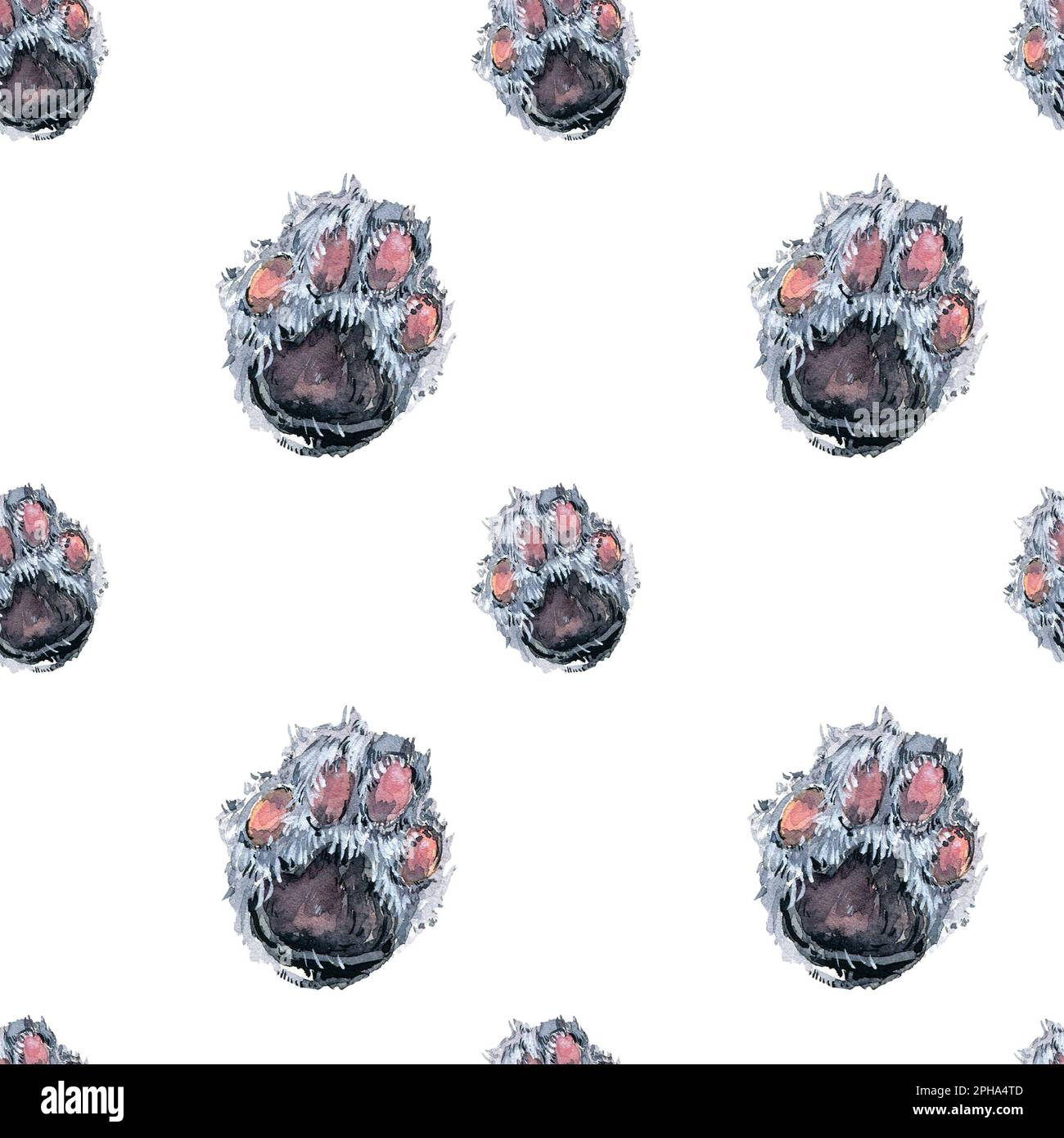 Cute cats paws seamless pattern. Watercolor painting on white ...