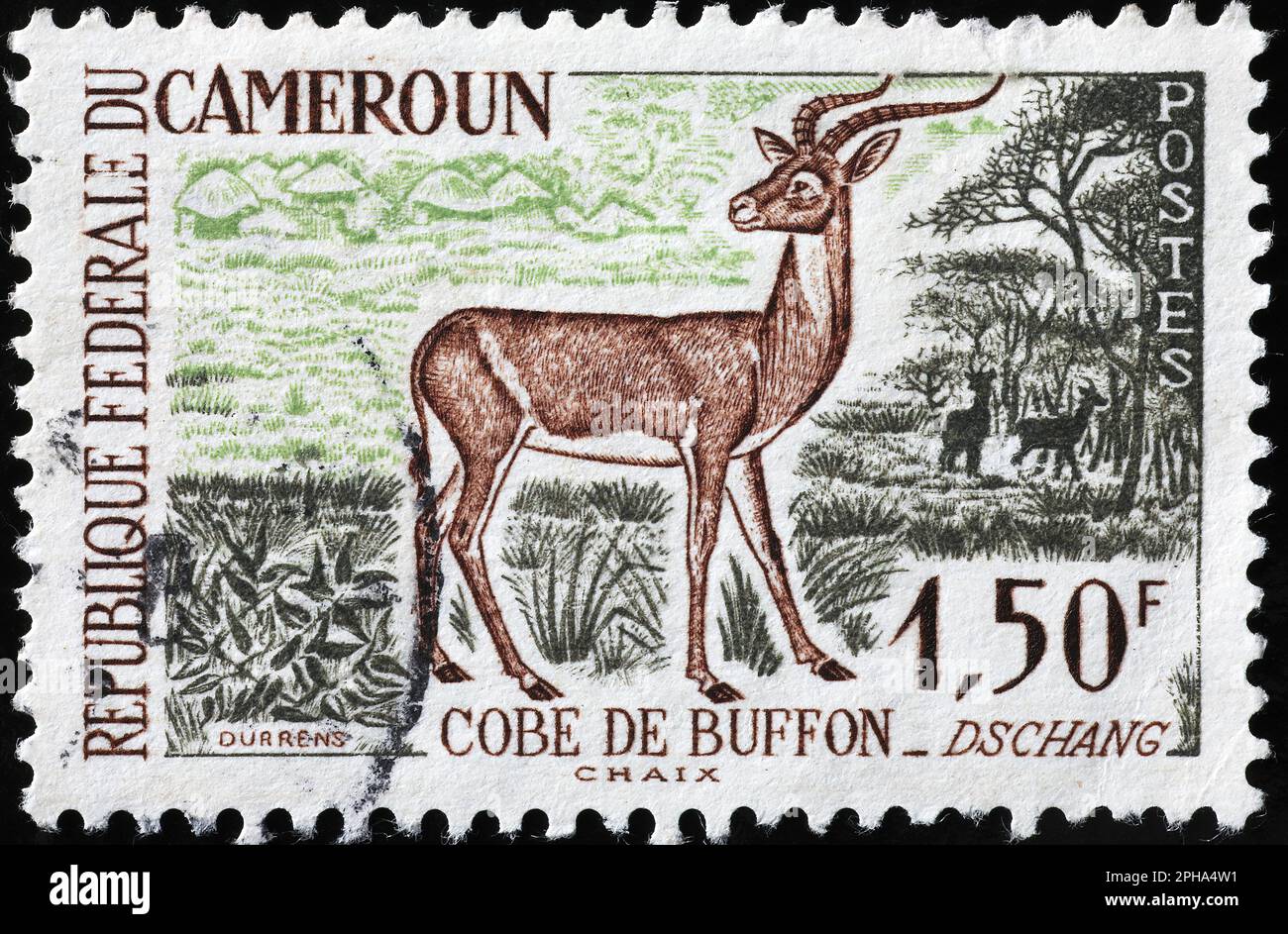 Gazelle on ancient postage stamp of Cameroon Stock Photo - Alamy