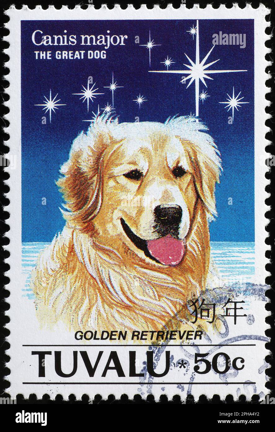 Golden retriever portrait on postage stamp Stock Photo - Alamy