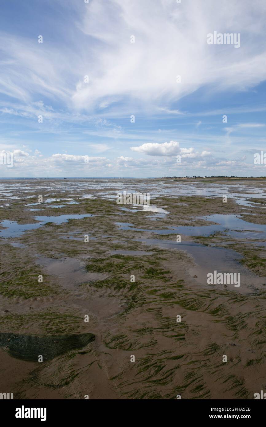 The Broomway, one of the UK's most dangerous footpaths, in the Thames ...