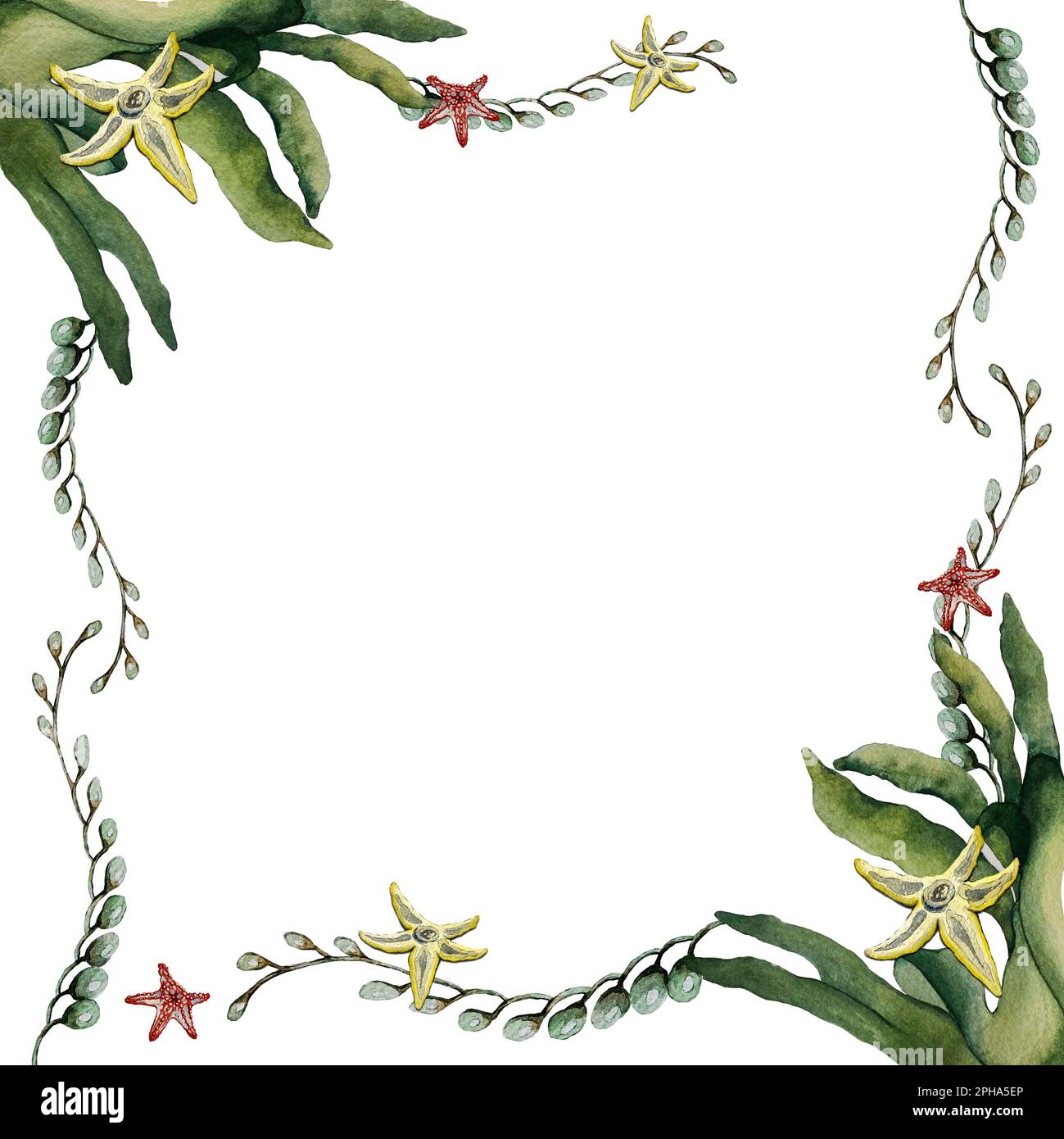 frame made of seaweed and starfish Stock Photo - Alamy