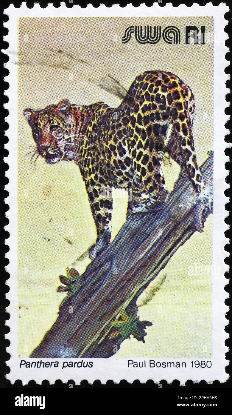 Leopard on postage stamp from South Africa Stock Photo - Alamy
