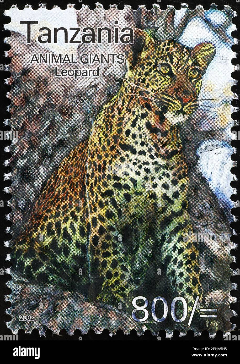 Leopard portrait on postage stamp from Tanzania Stock Photo - Alamy