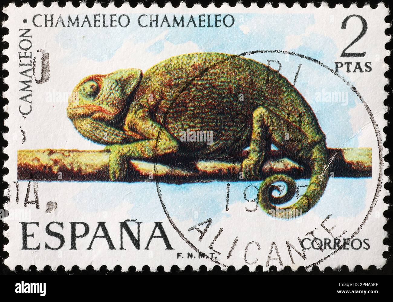 Mediterranean chameleon on spanish postage stamp Stock Photo - Alamy